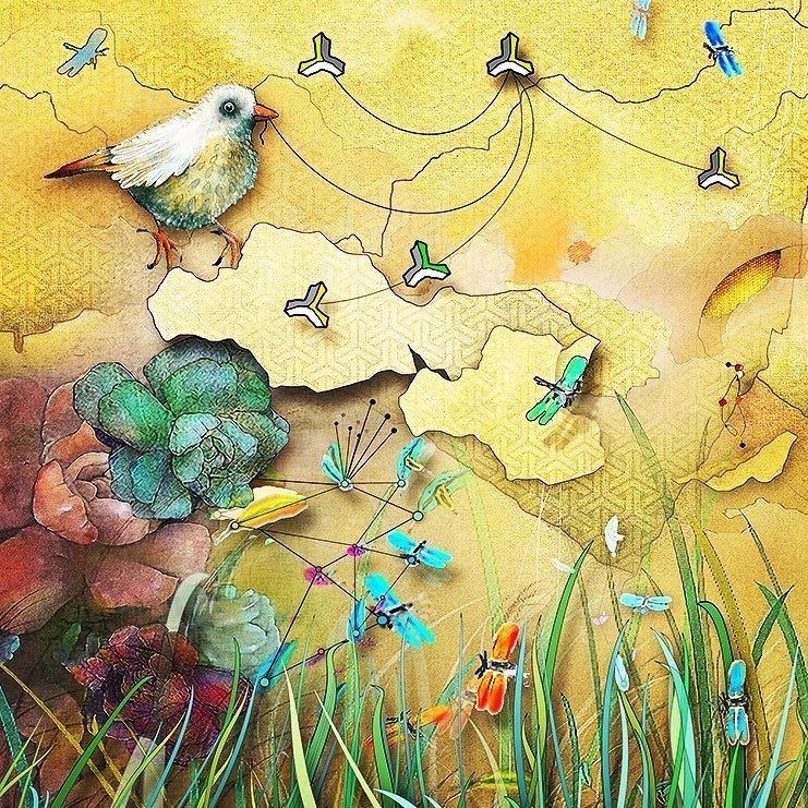 Products – Siy Gallery