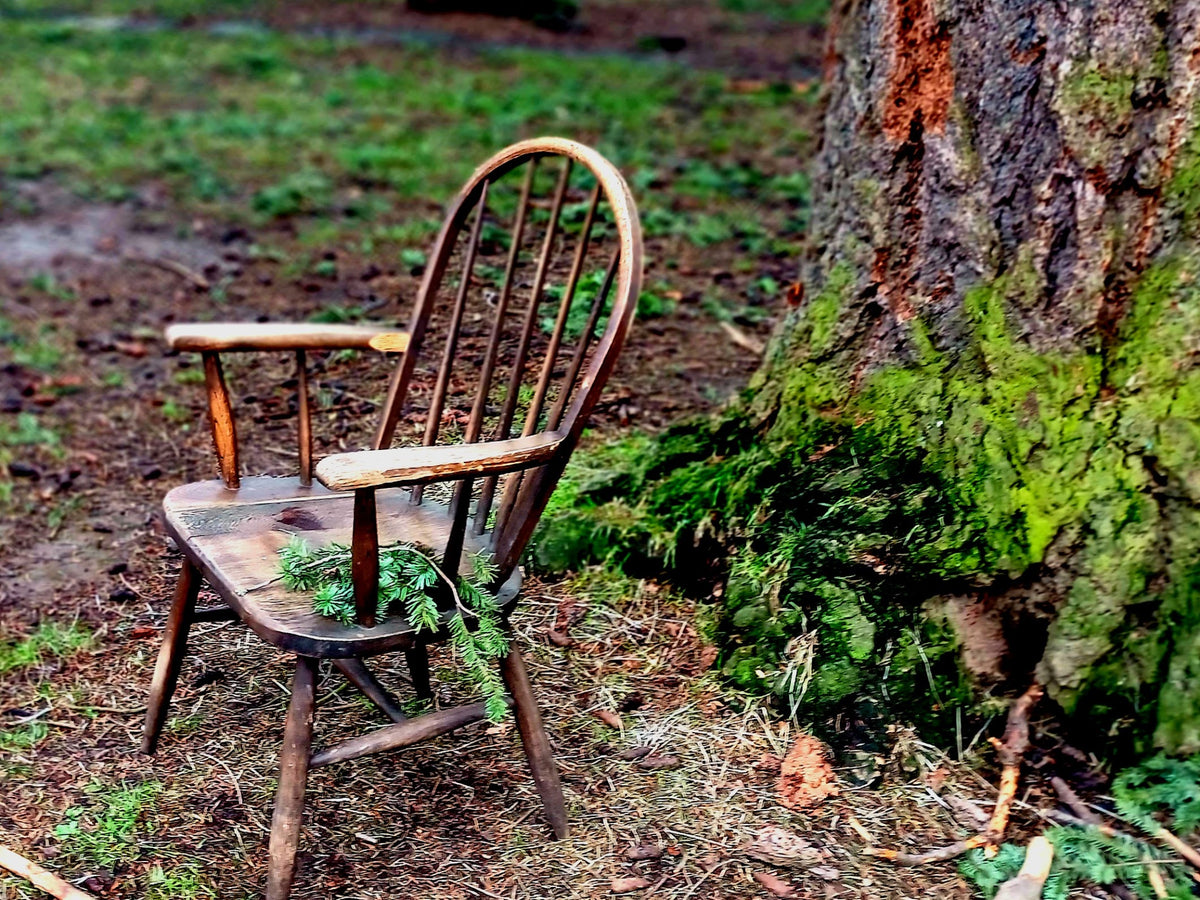 Respite in The Woods – Siy Gallery